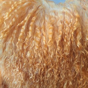 Dyed Goat Hair , Goat Hair on the Skin,natural Curls of Goats, for ...