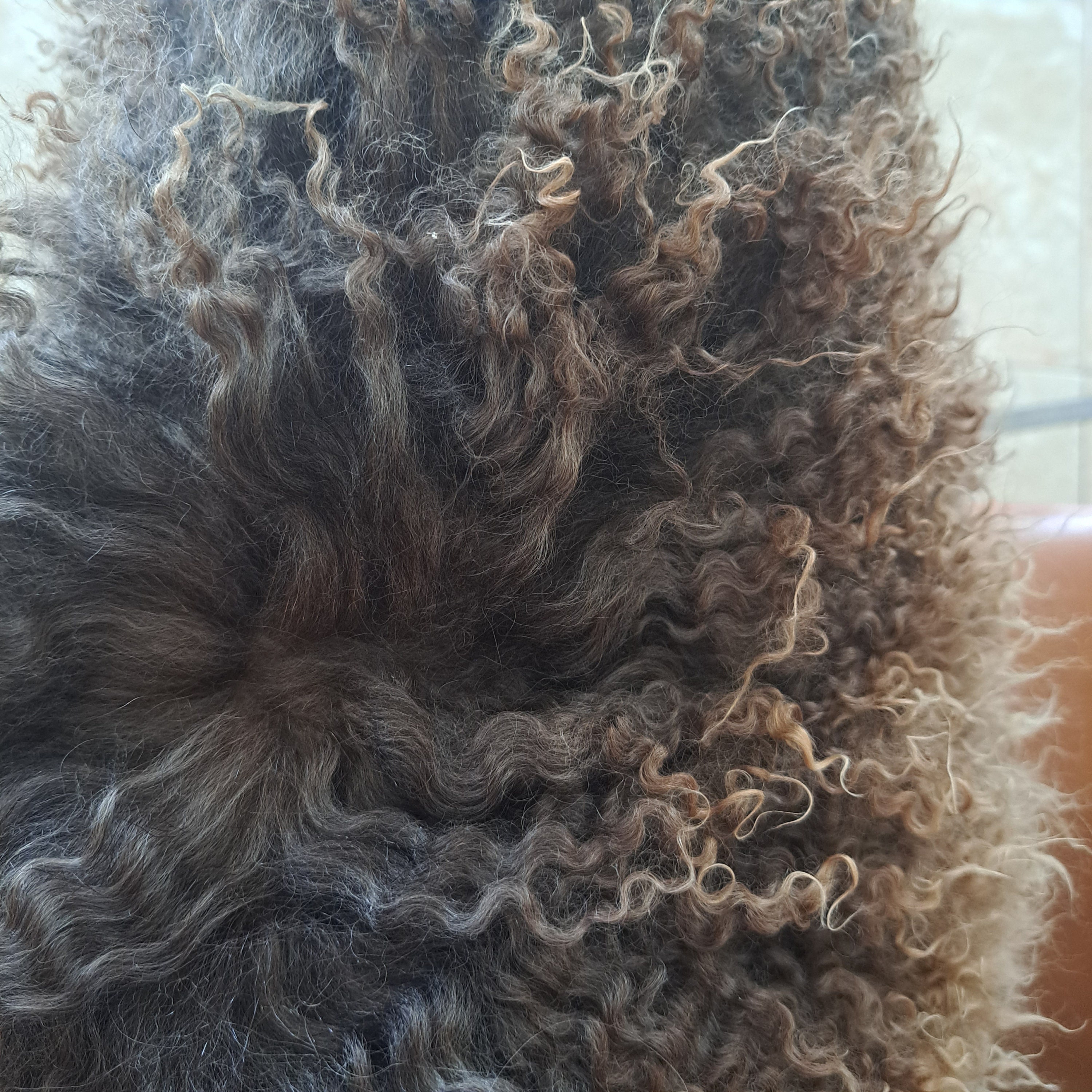 Goat Hair on the Skin,natural Curls of Goats, for Handmade Dolls Hair ...