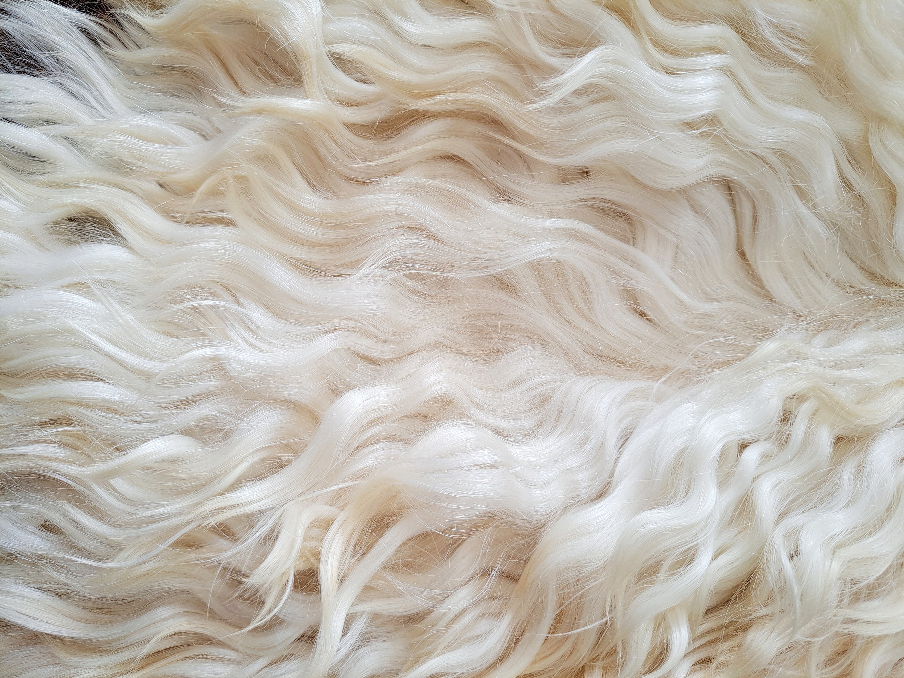 Goat Hair on the Skin,natural Curls of Goats, for Handmade Dolls Hair ...