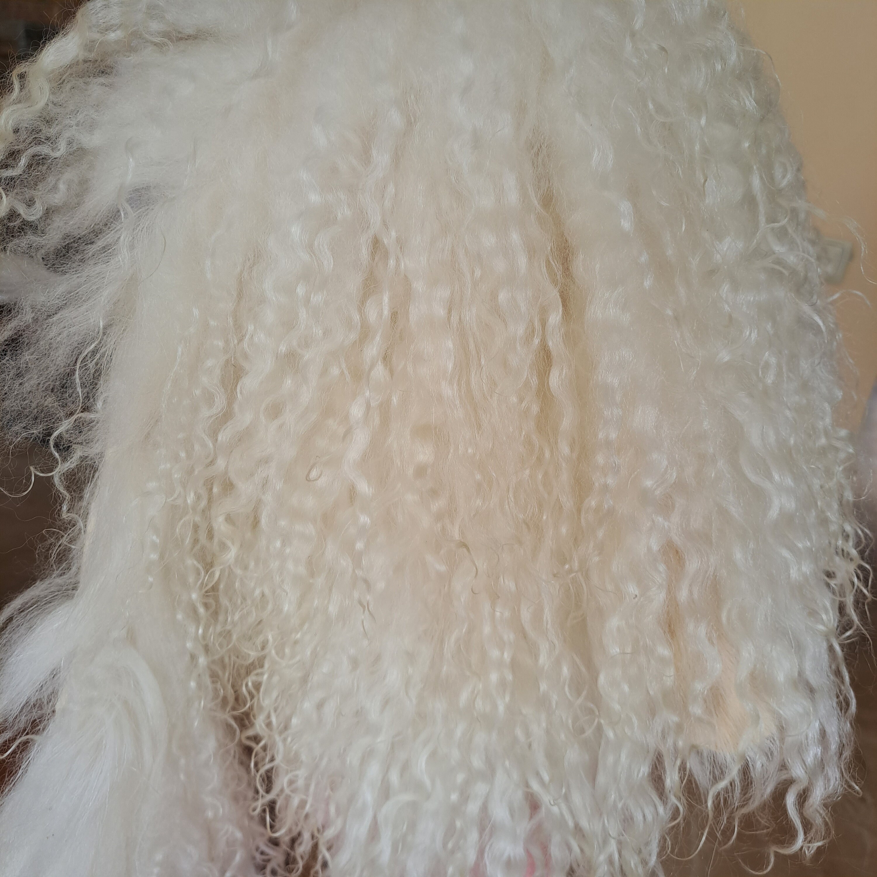 Goat Hair on the Skin,natural Curls of Goats, for Handmade Dolls Hair ...