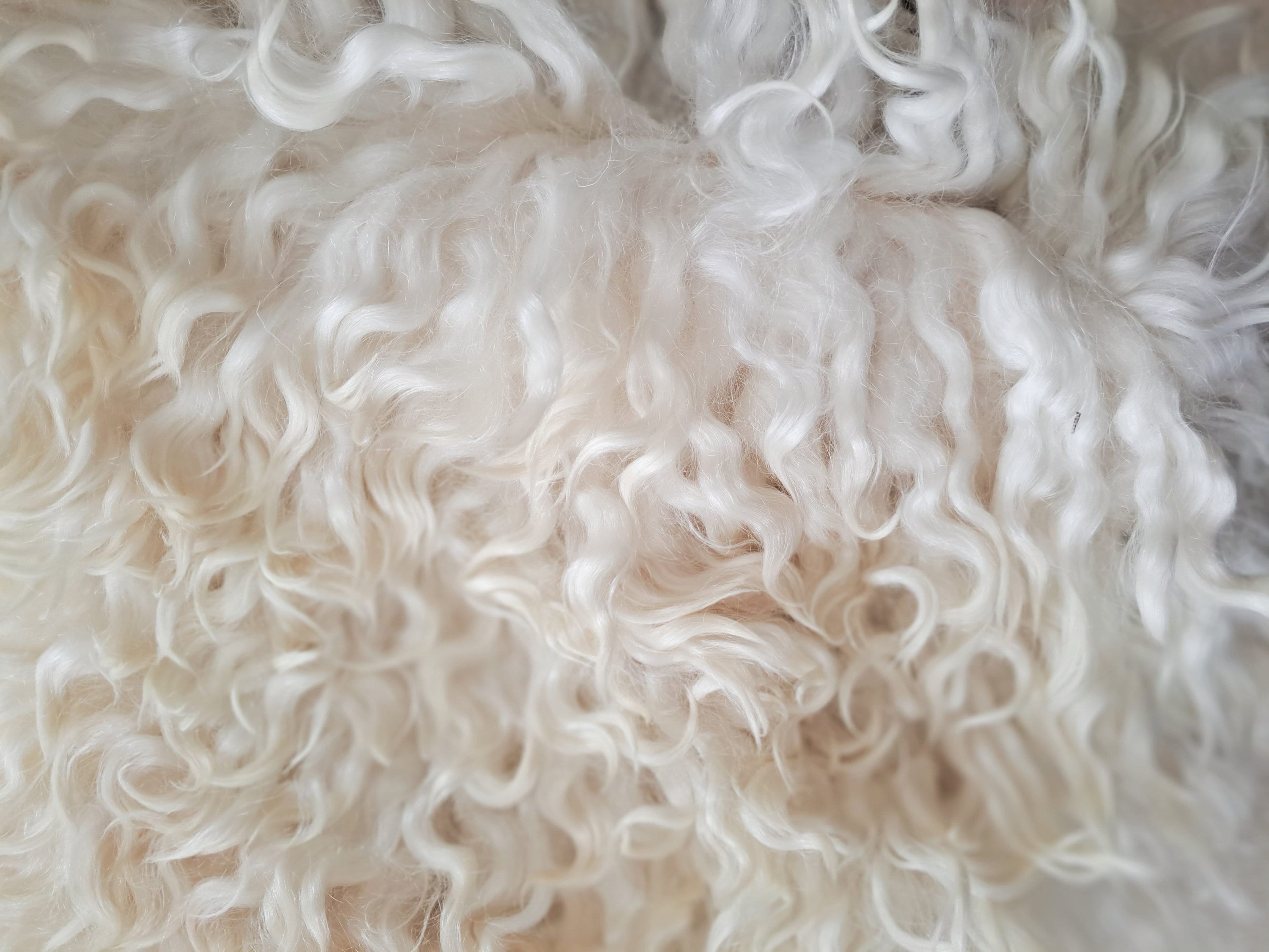 Goat Hair on the Skin,natural Curls of Goats, for Handmade Dolls Hair ...