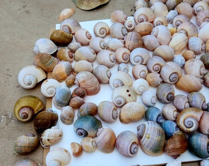 SET OF 6. Vintage French Escargot Pots Ceramic Individual Snail Shaped ...