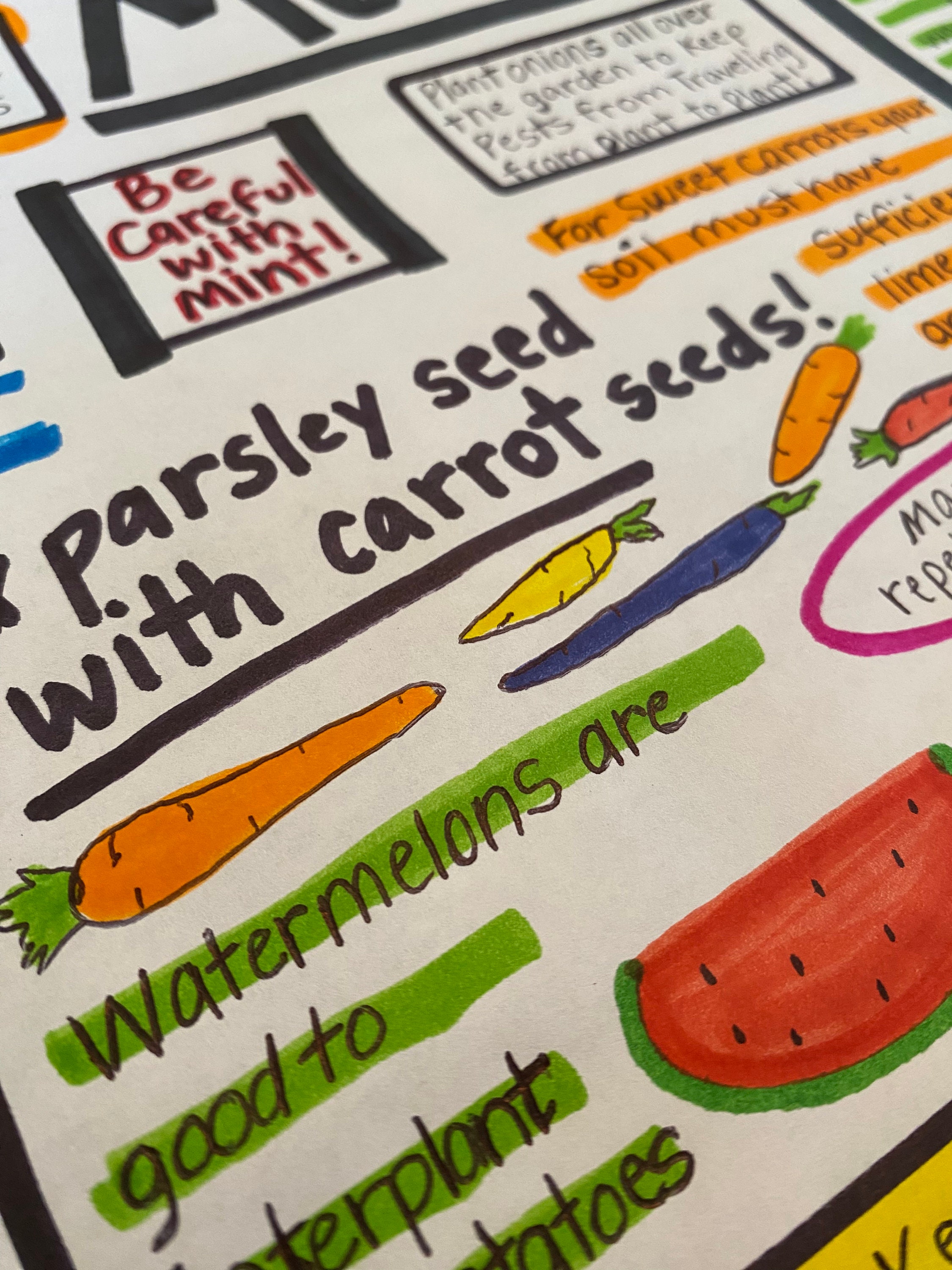 New Companion Planting Chart DIGITAL DOWNLOAD - Etsy