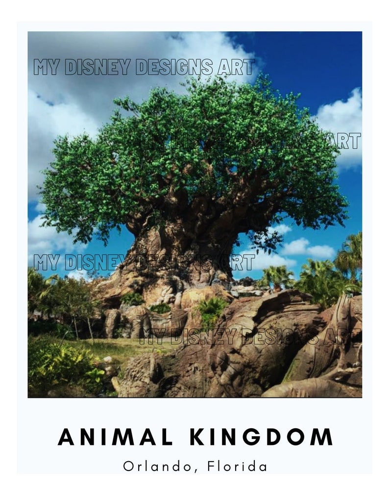 Animal Kingdom Poster Polaroid Style - Etsy