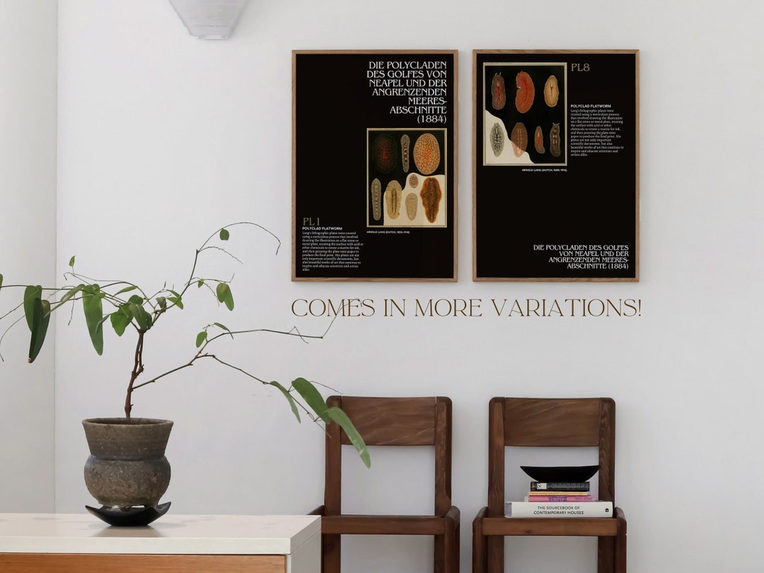 Printable Vintage Scientific Illustration Poster Set - Etsy