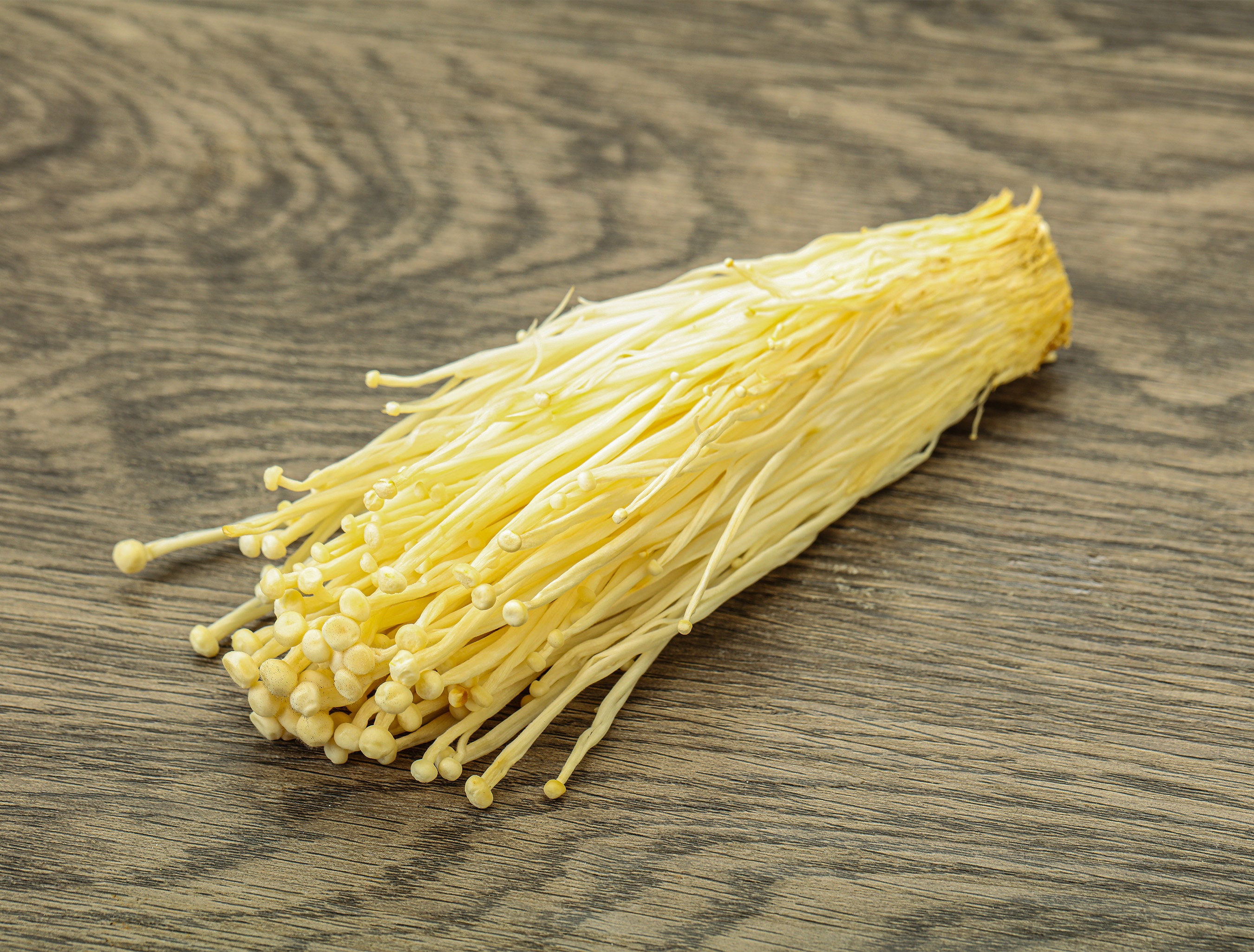 Enoki Liquid Culture Golden Enoki Spores Syringe Grow Your Own Enoki ...