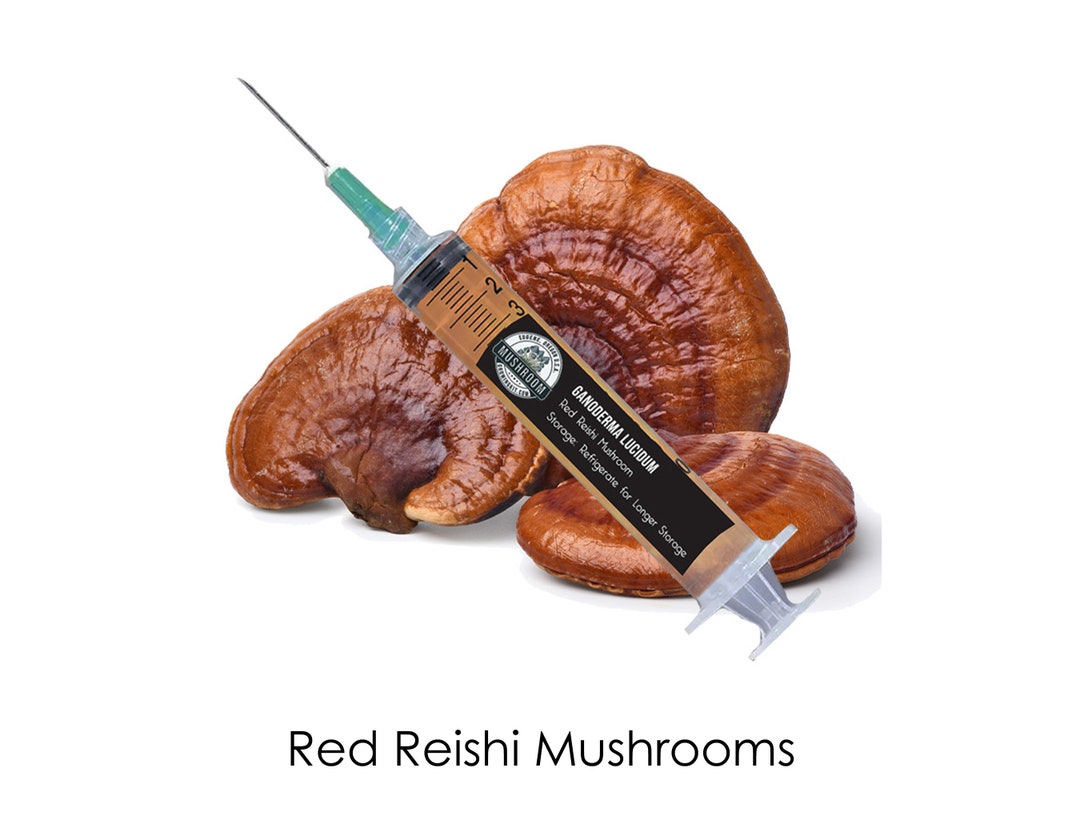 Reishi Liquid Culture Red Reishi Mushroom lingzhi Culture Syringe ...