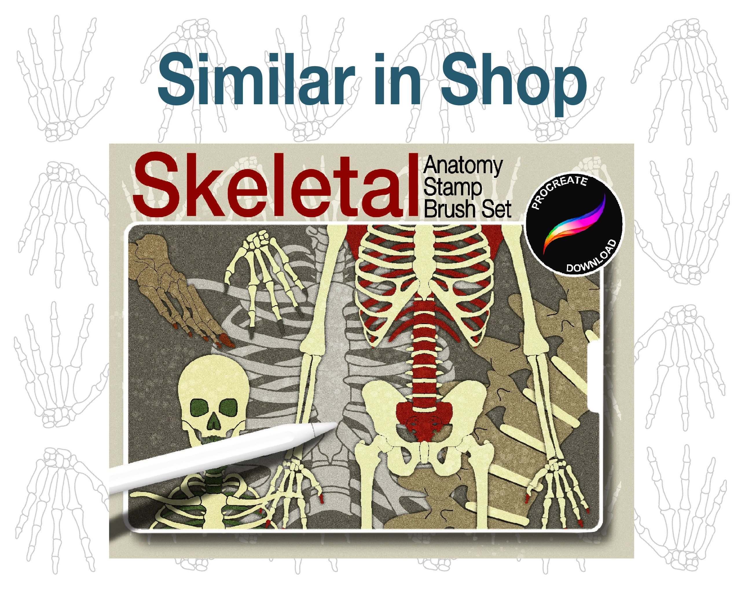 Skeletal Anatomy Themed Digital Art Procreate Stamp Brush Set Add-on ...