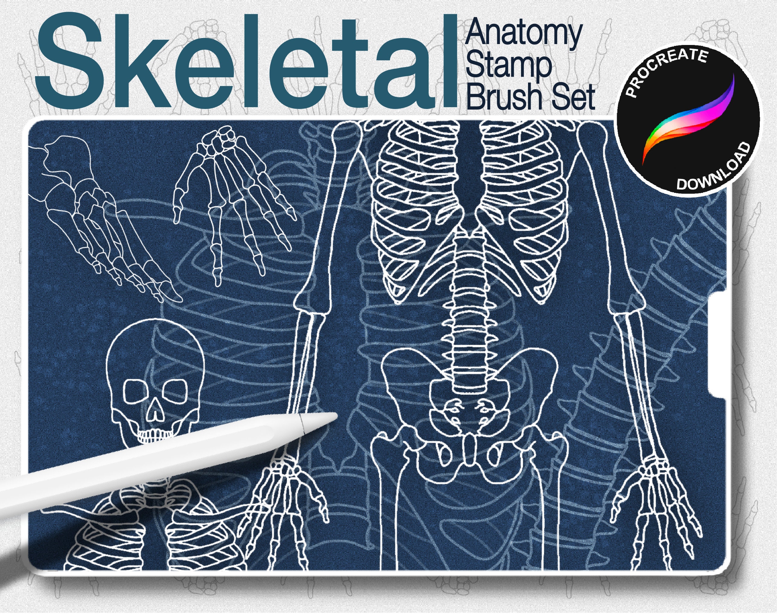 Skeletal Anatomy Themed Digital Art Procreate Stamp Brush Set Add-on ...
