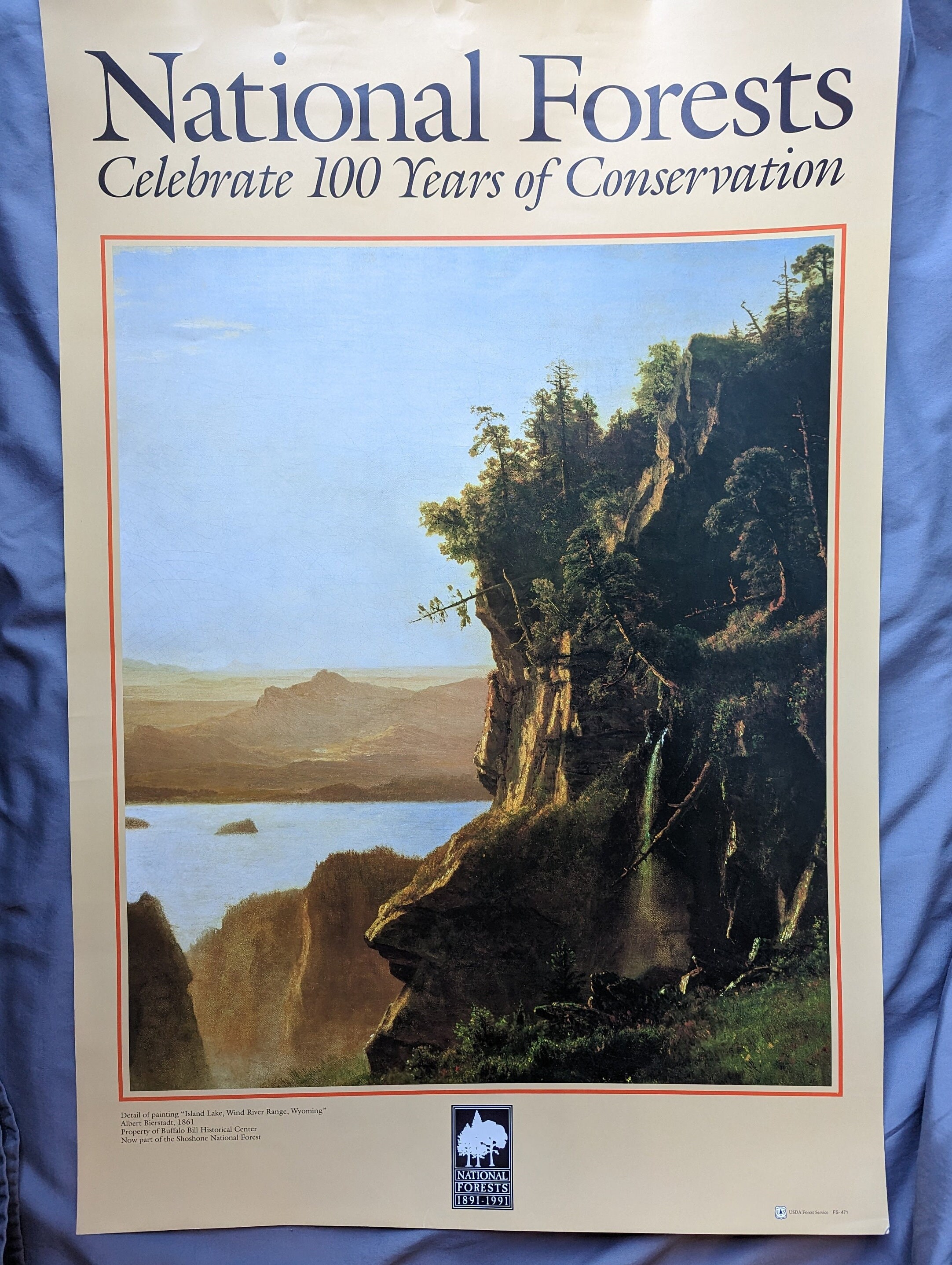 Vintage Nat'l Forests 100 Year Poster - Etsy