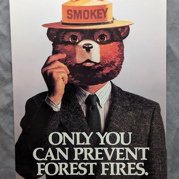 Smokey Bear Poster - Etsy