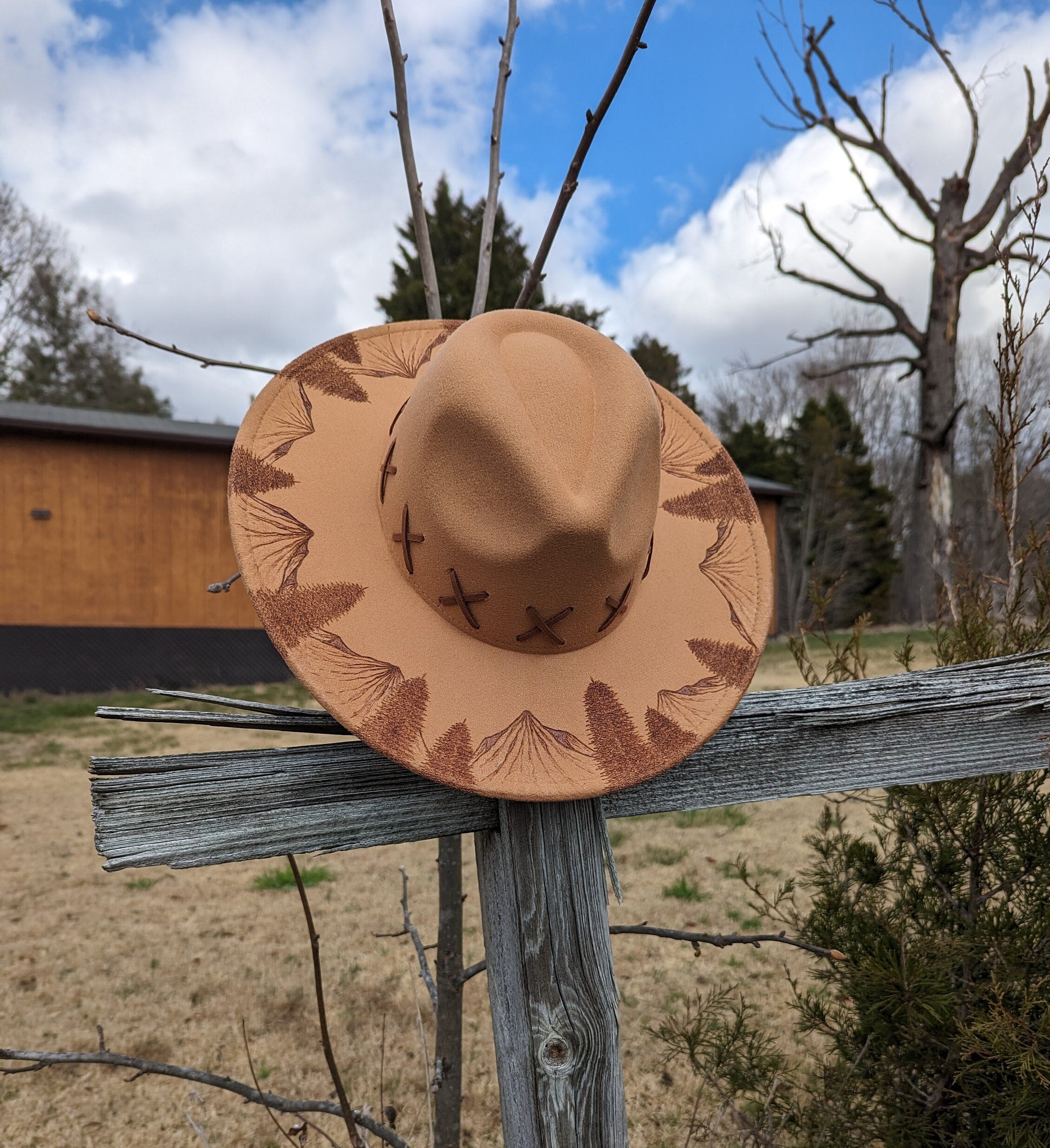 Landscape Hat, Wide Brim Fedora, Burnt Cowboy Hat, Boho Cowgirl Hat ...