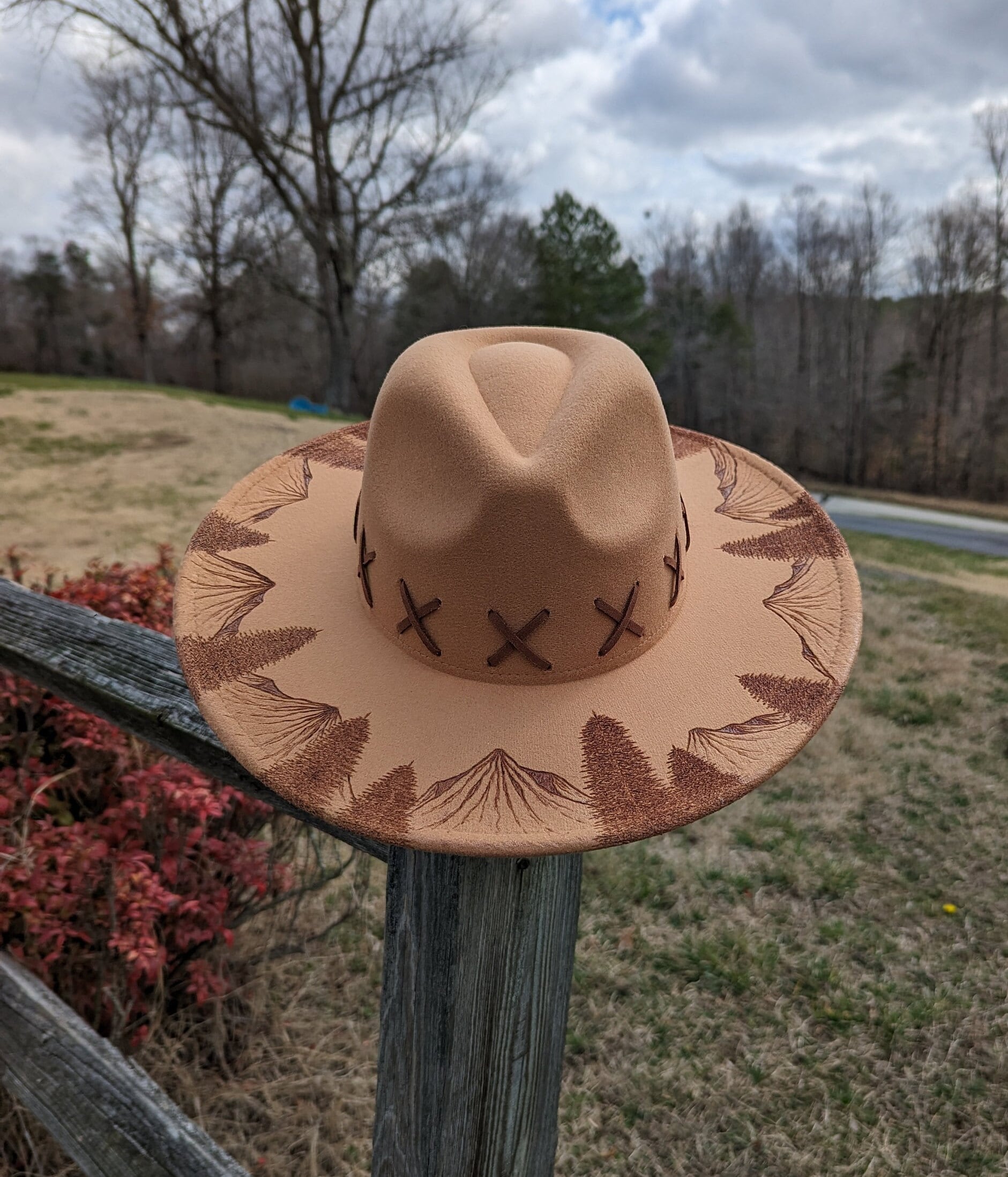 Landscape Hat, Wide Brim Fedora, Burnt Cowboy Hat, Boho Cowgirl Hat ...