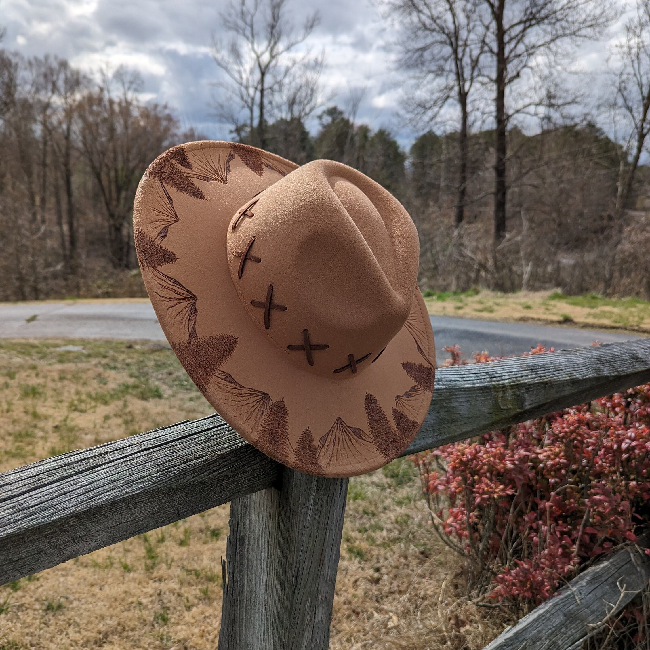 Landscape Hat, Wide Brim Fedora, Burnt Cowboy Hat, Boho Cowgirl Hat ...