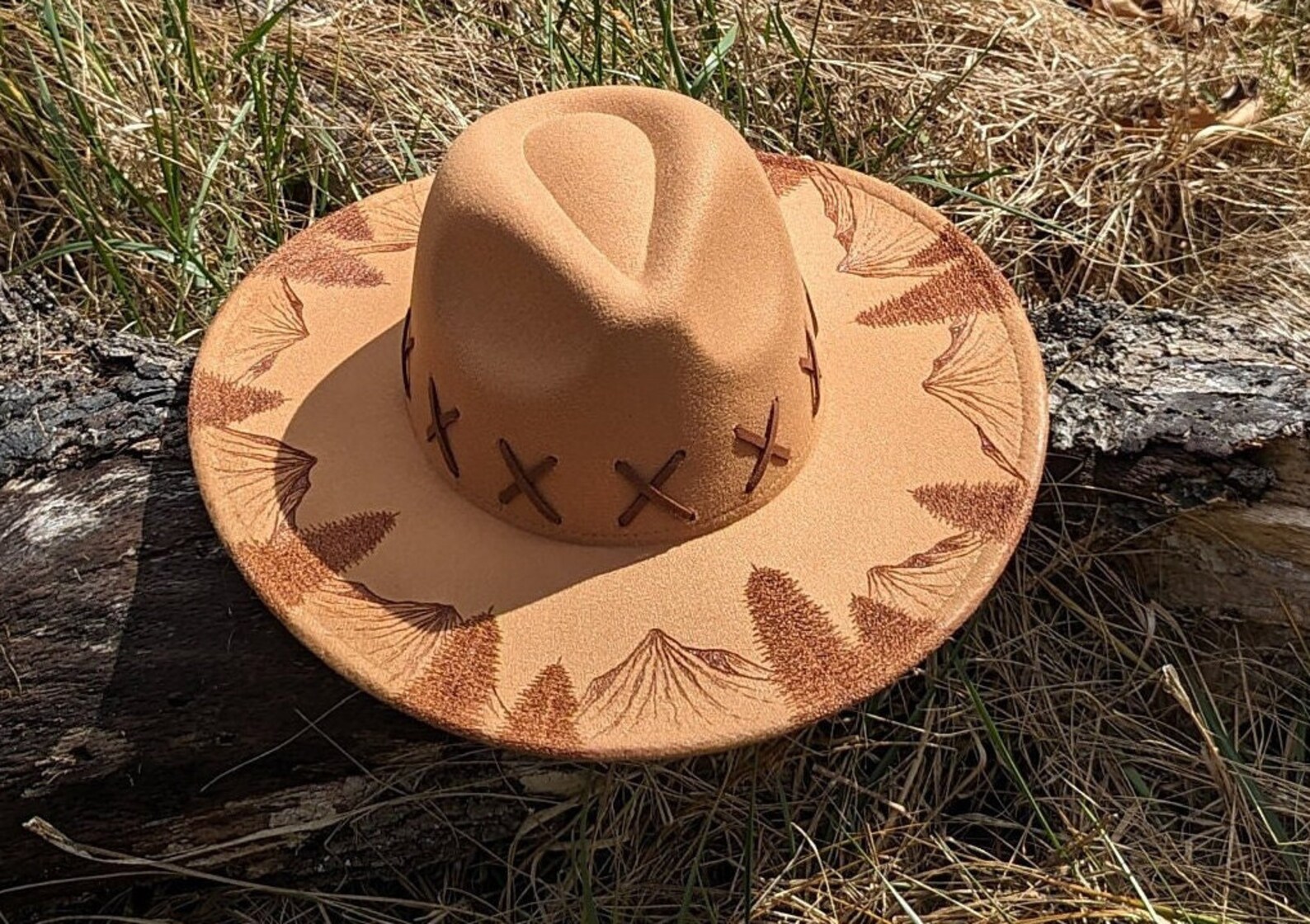 Landscape Hat, Wide Brim Fedora, Burnt Cowboy Hat, Boho Cowgirl Hat ...