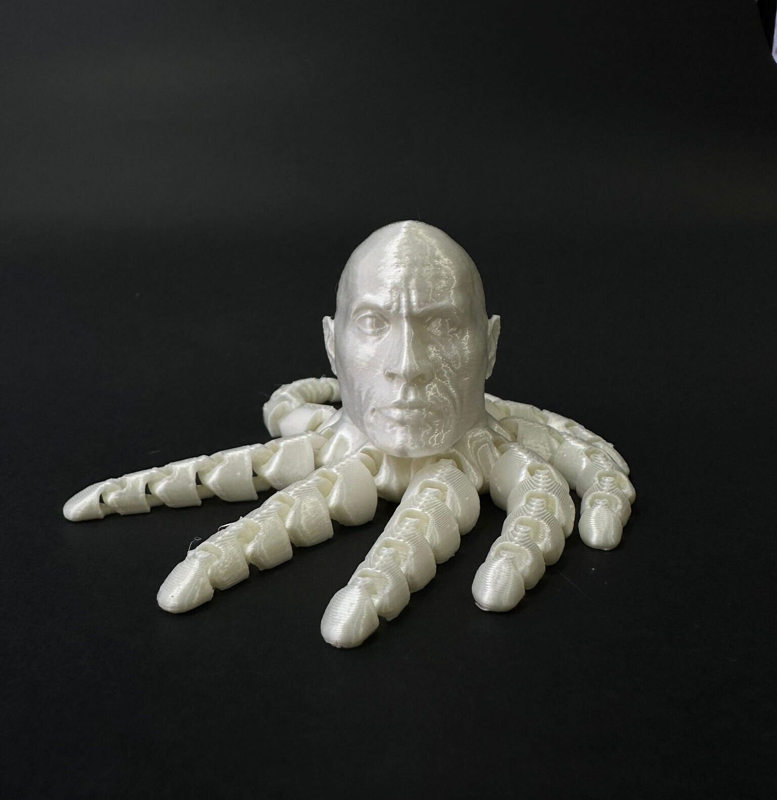 Rocktopus Fidget Toy | 3D Printed Rocktopus | Flexi | the Rock | Dwayne ...