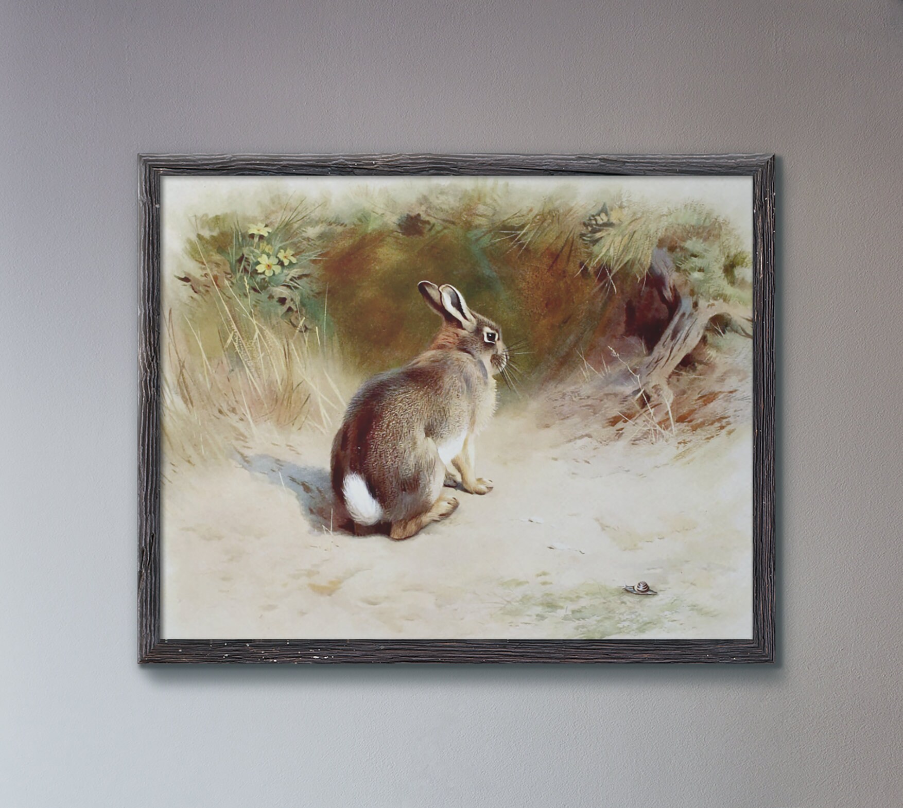 Vintage Rabbit Illustration, Printable Digital Download, Vintage Bunny ...