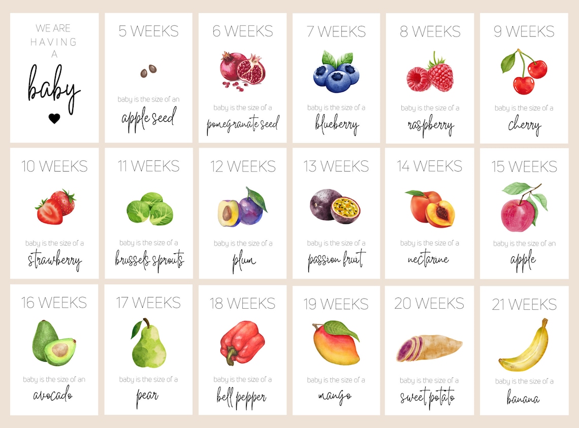 PLR, Resell, Pregnancy Milestones X37 Cards Fruit and Vegetable ...