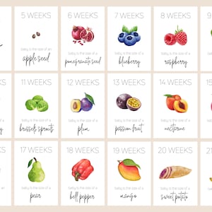 PLR, Resell, Pregnancy Milestones X37 Cards Fruit and Vegetable ...