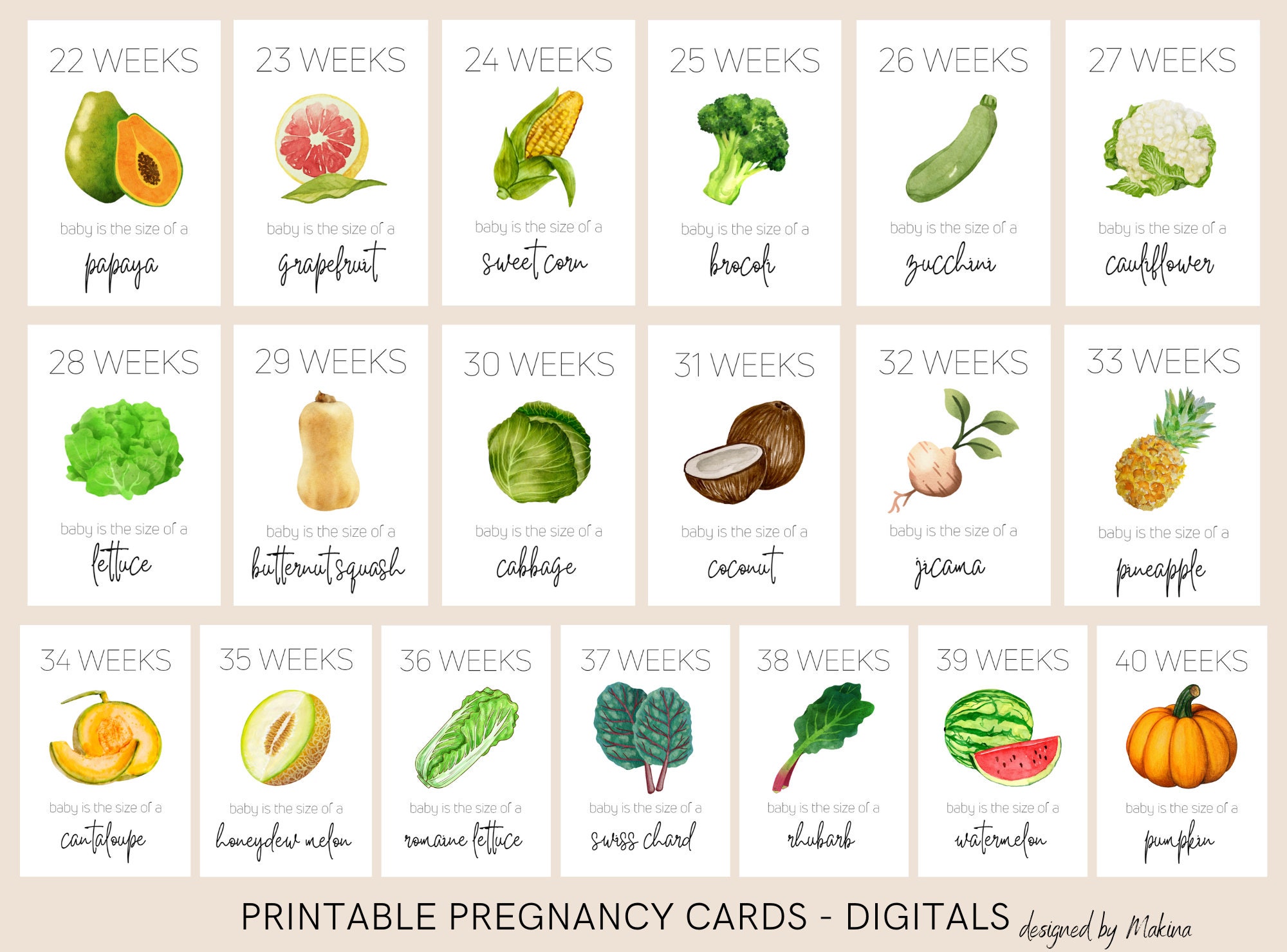 PLR, Resell, Pregnancy Milestones X37 Cards Fruit and Vegetable ...