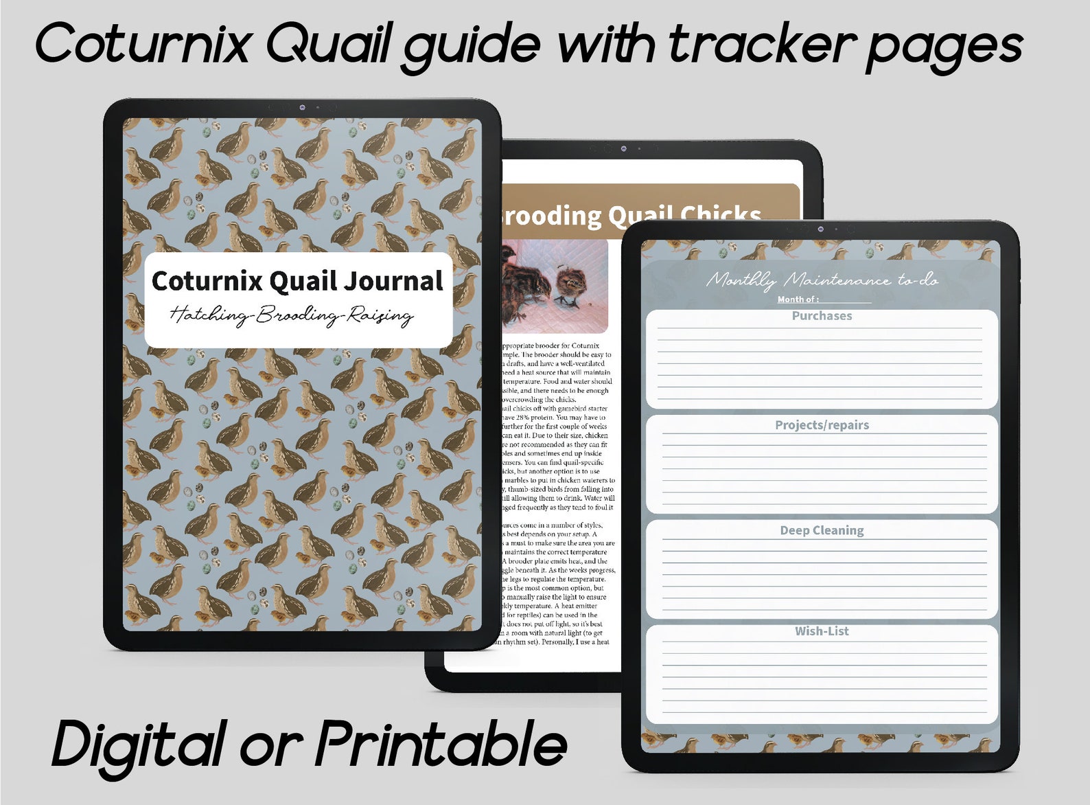 Coturnix Quail Guide and Journal Digital or Printable. From Hatching to ...