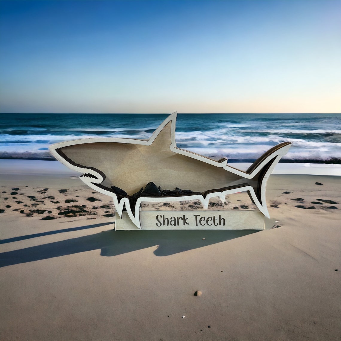 Shark Tooth Shadow Box Beach Vacation Collector Shark Teeth Display - Etsy