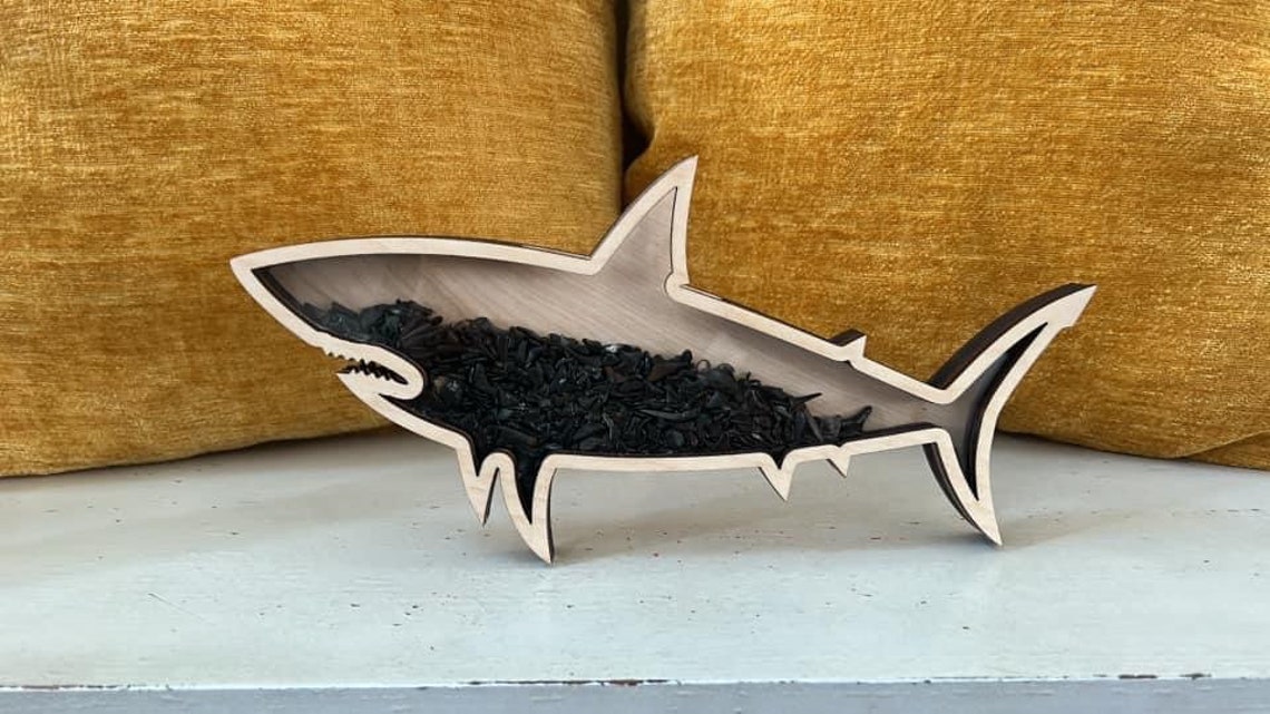 Shark Teeth Shadow Box Collector Beach Vacation - Etsy