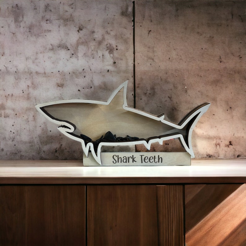 Shark Tooth Shadow Box Beach Vacation Collector Shark Teeth Display - Etsy