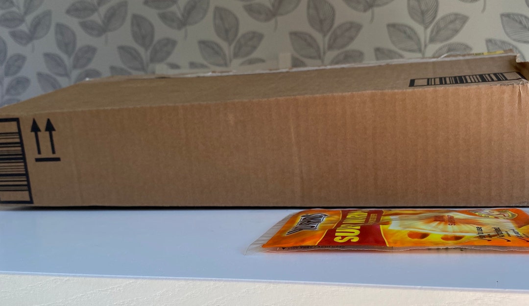 Shipping Upgrade Expedited Shipping Cardboard Box Hot/cold Pack - Etsy