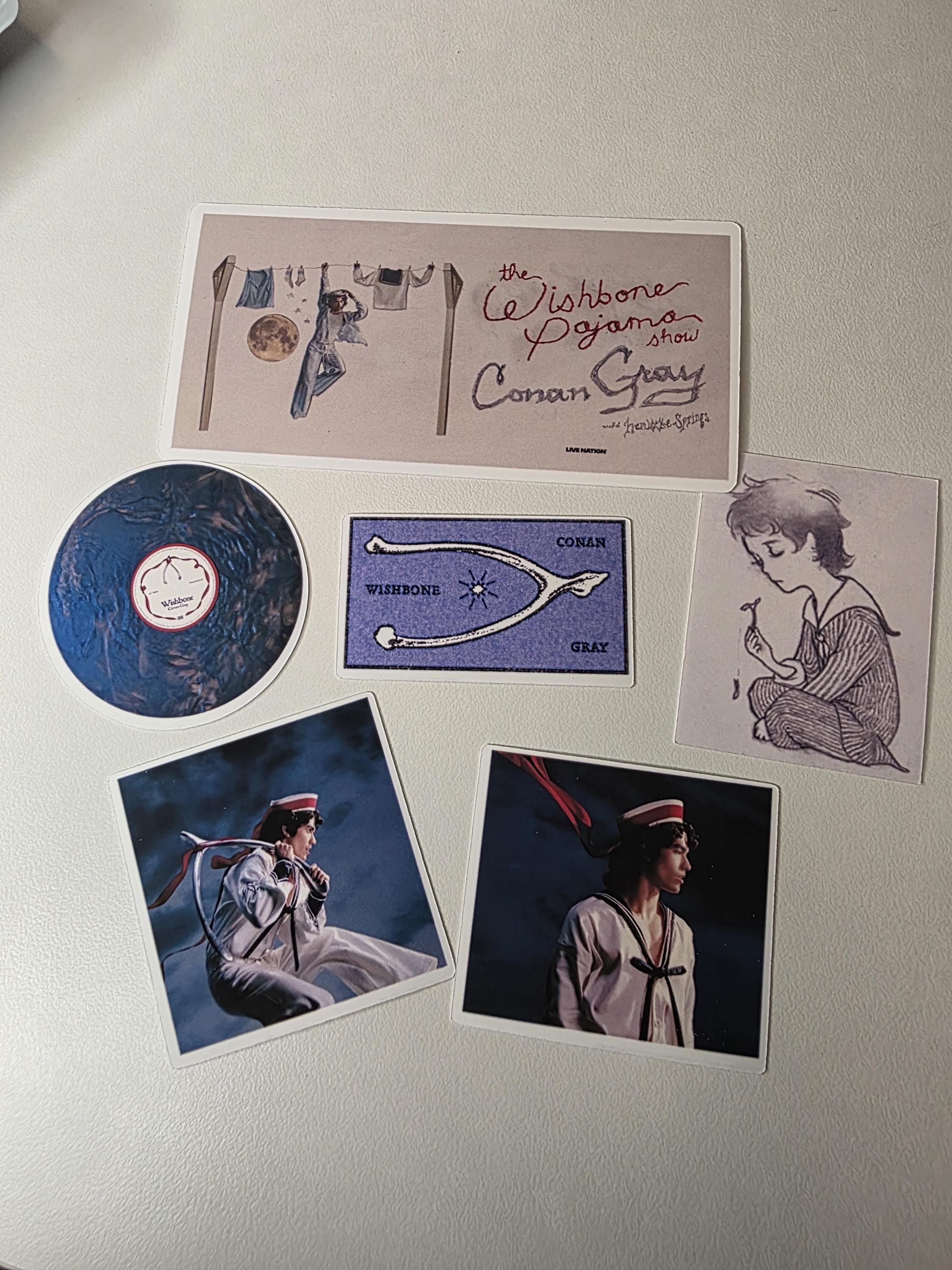 Conan Gray Wishbone Pajama Tour Sticker Pack - Etsy