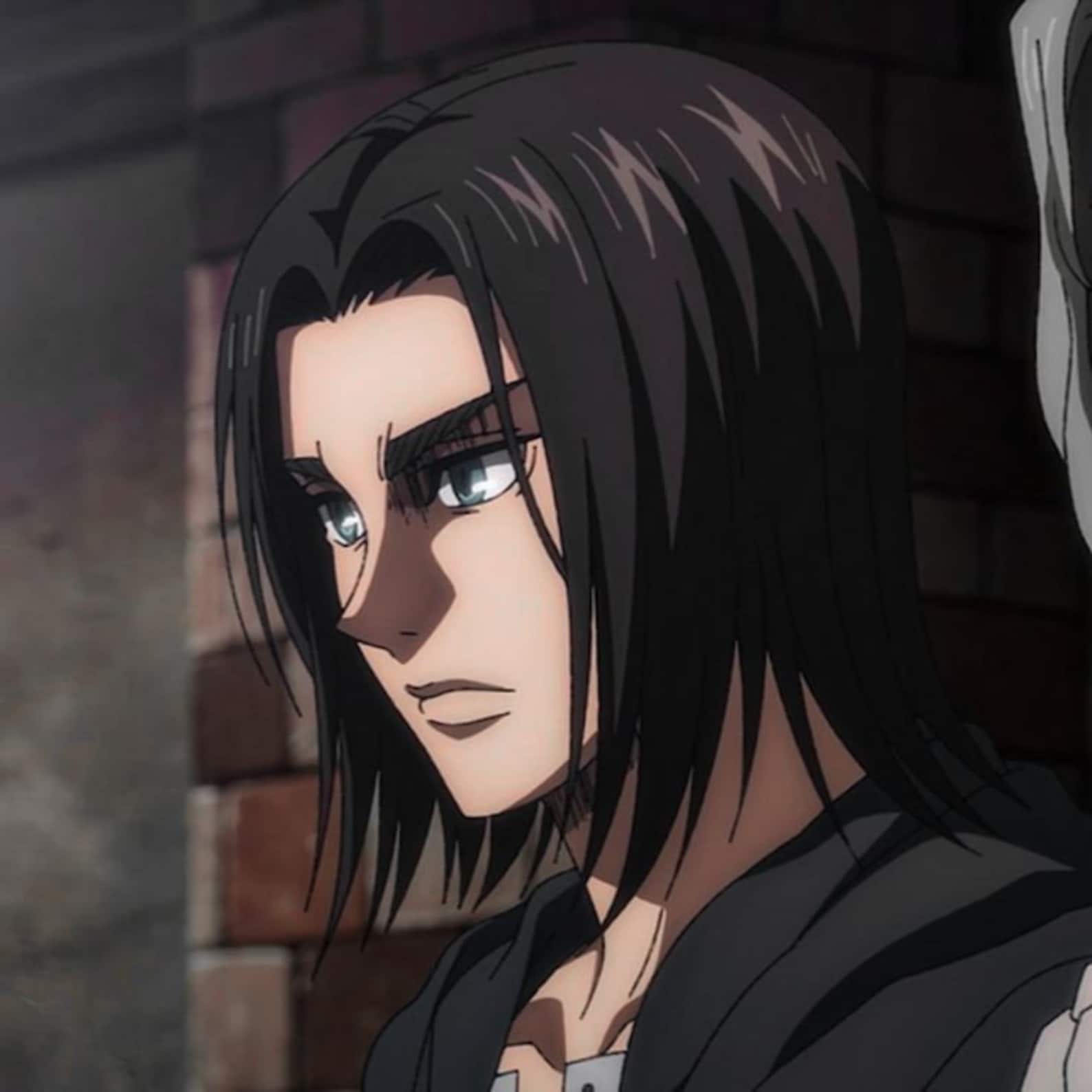 Eren Yeager Pfp - Etsy