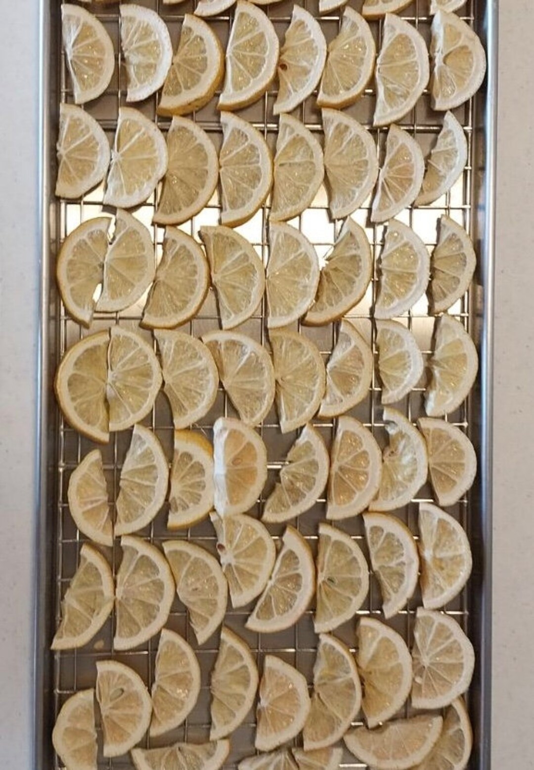 Freeze Dried Citrus Slices, Bar Cart Freeze Dried Lemon Slices With ...