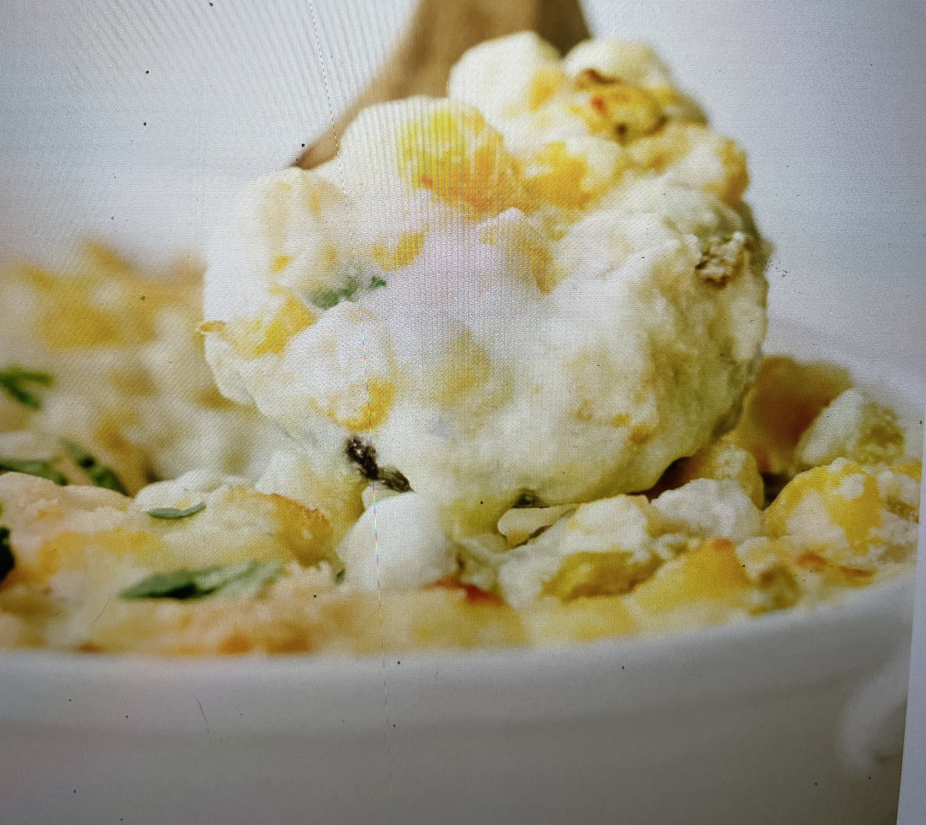 Freeze Dried Cooked Organic Hominy, Raw Hominy, Shelf Stable, Vegan ...
