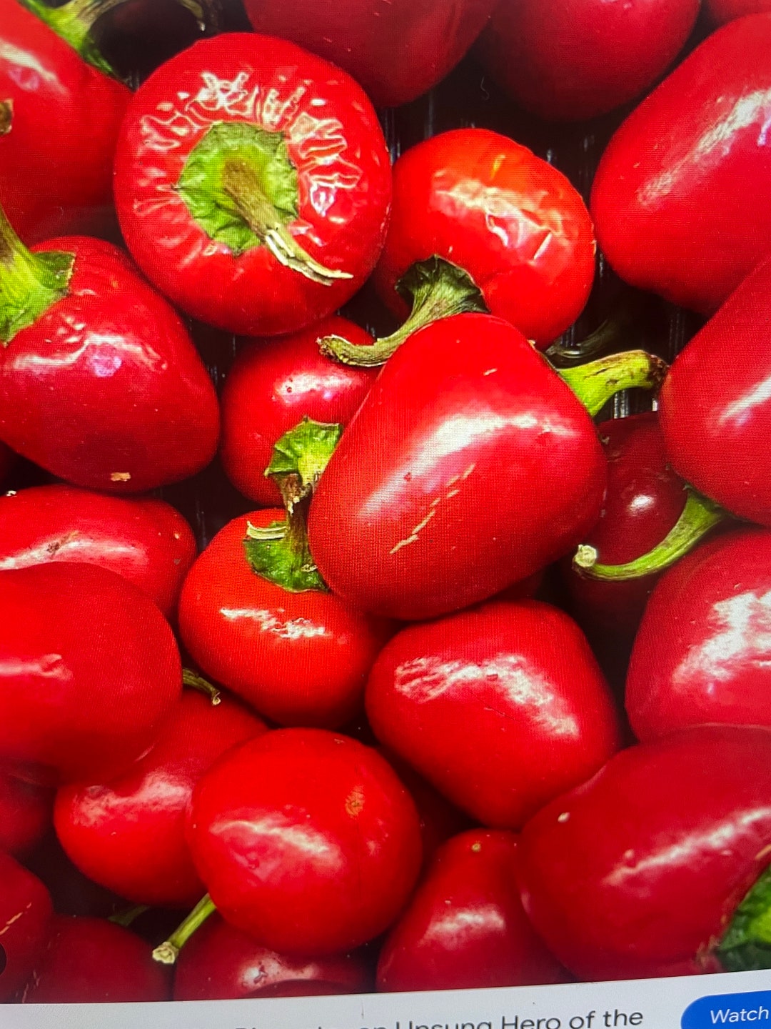 Freeze Dried Pimiento Peppers- Organic Roasted Pimento Peppers- Savory ...