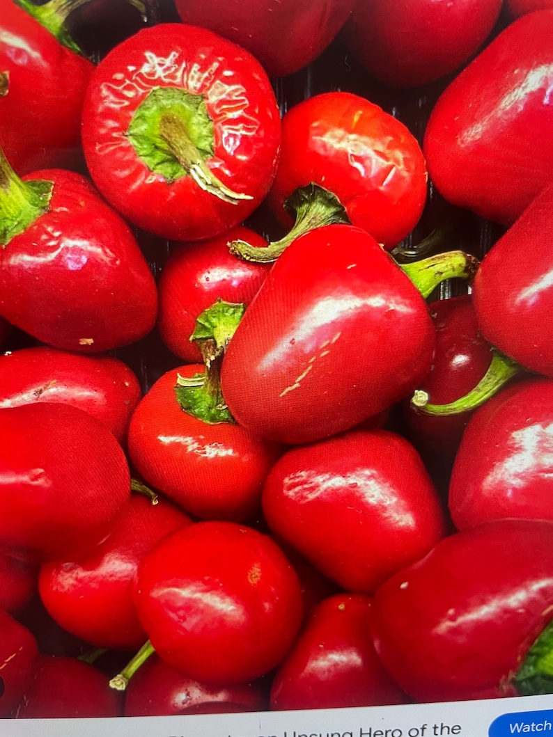 Freeze Dried Pimiento Peppers- Organic Roasted Pimento Peppers- Savory ...