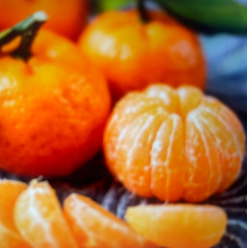 Sweet Mandarin Oranges- Freeze Dried Peeled Mandarin Oranges-perfect ...