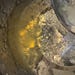 Organic Freeze Dried Chicken Bone Broth: Natural Gelatin Broth - Etsy