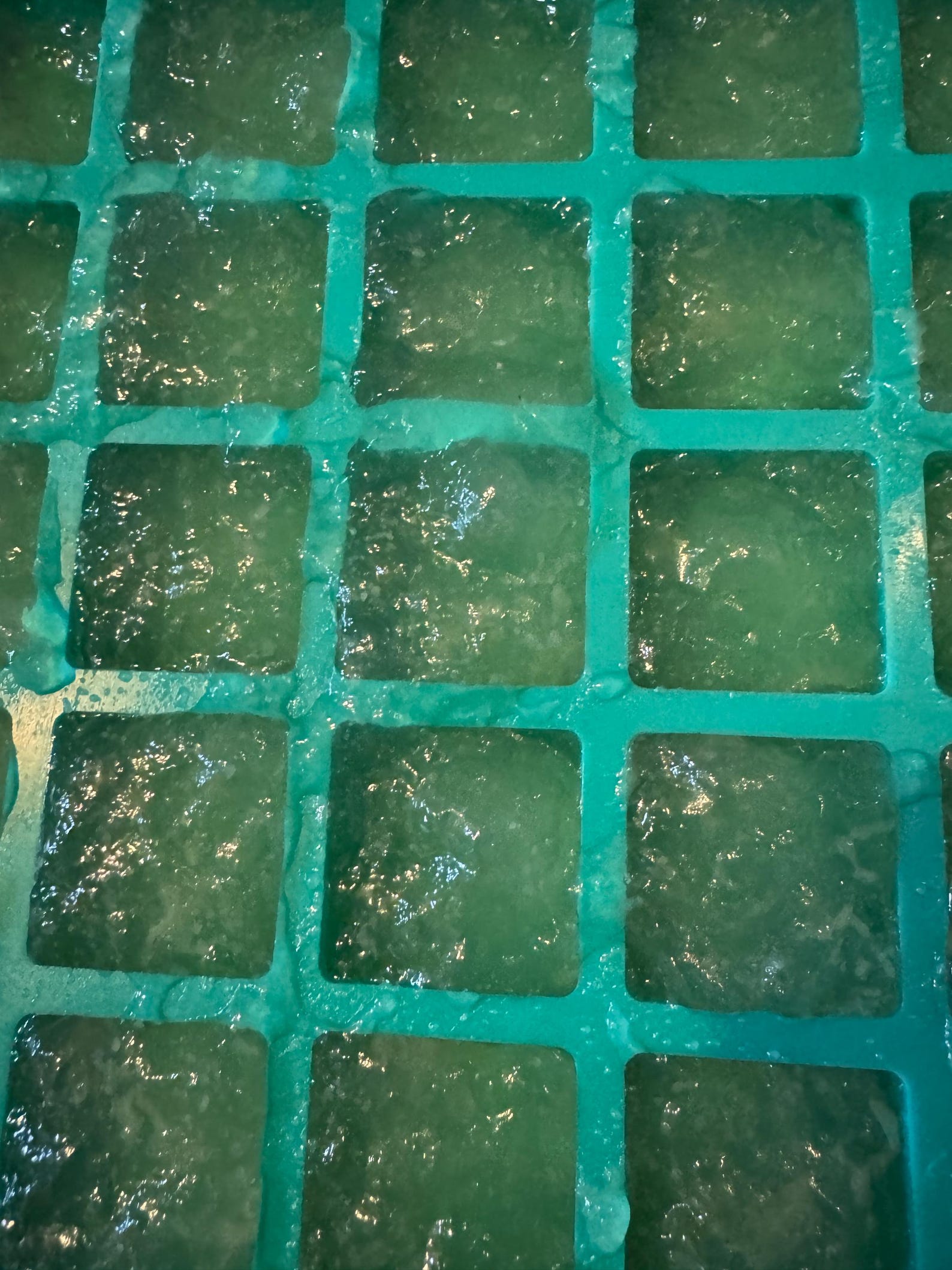 Organic Freeze Dried Chicken Bone Broth: Natural Gelatin Broth - Etsy
