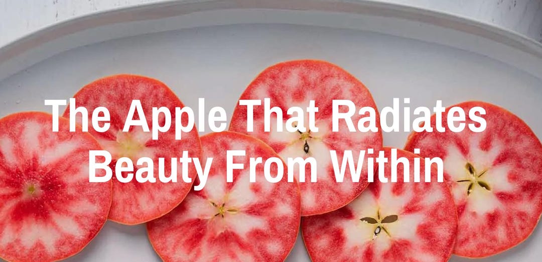 Freeze Dried Lucy Glo Apples-freeze Dried Dip Apples-chartreuse Tray ...