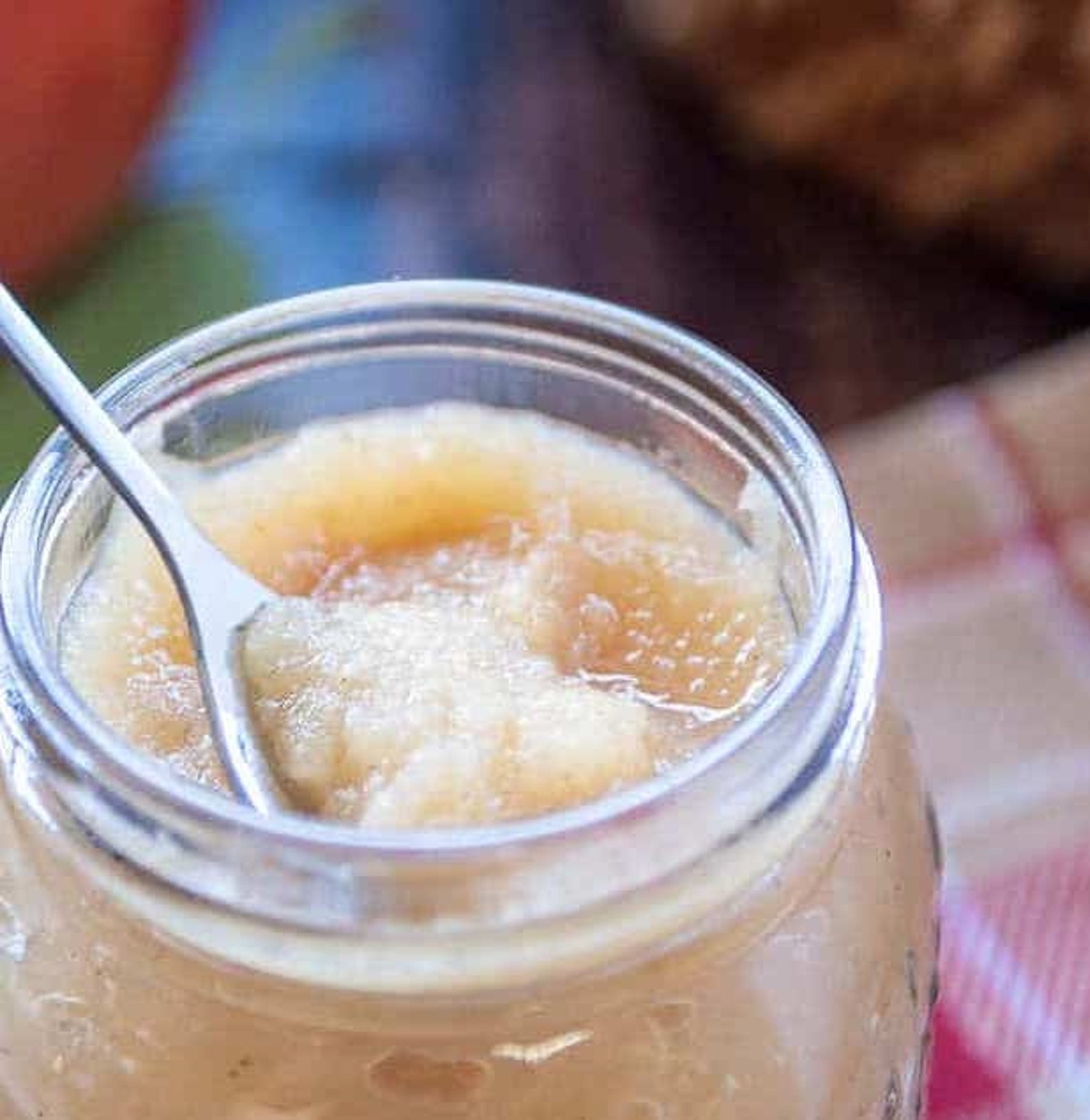 Freeze Dried Unsweetened Applesauce Bites- Sugar Free Applesauce Snacks ...