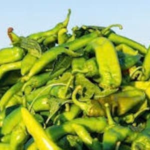 Freeze Dried Hatch New Mexico Green Chili: Hand Roasted, Peeled and ...