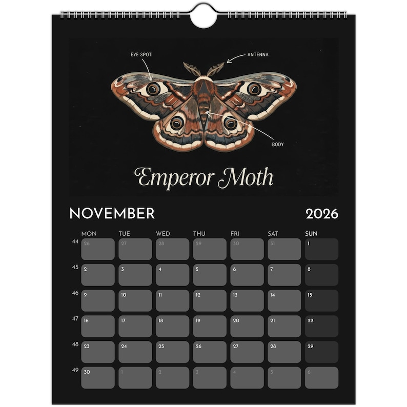 2026 Moth Wall Calendar - Bohemian Anatomical Illustrations for ...