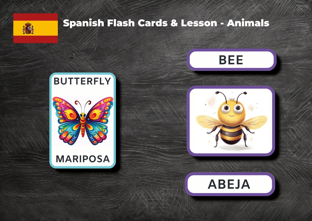 Spanish 24 Animal Vocabulary Flashcards Complete Lesson & - Etsy