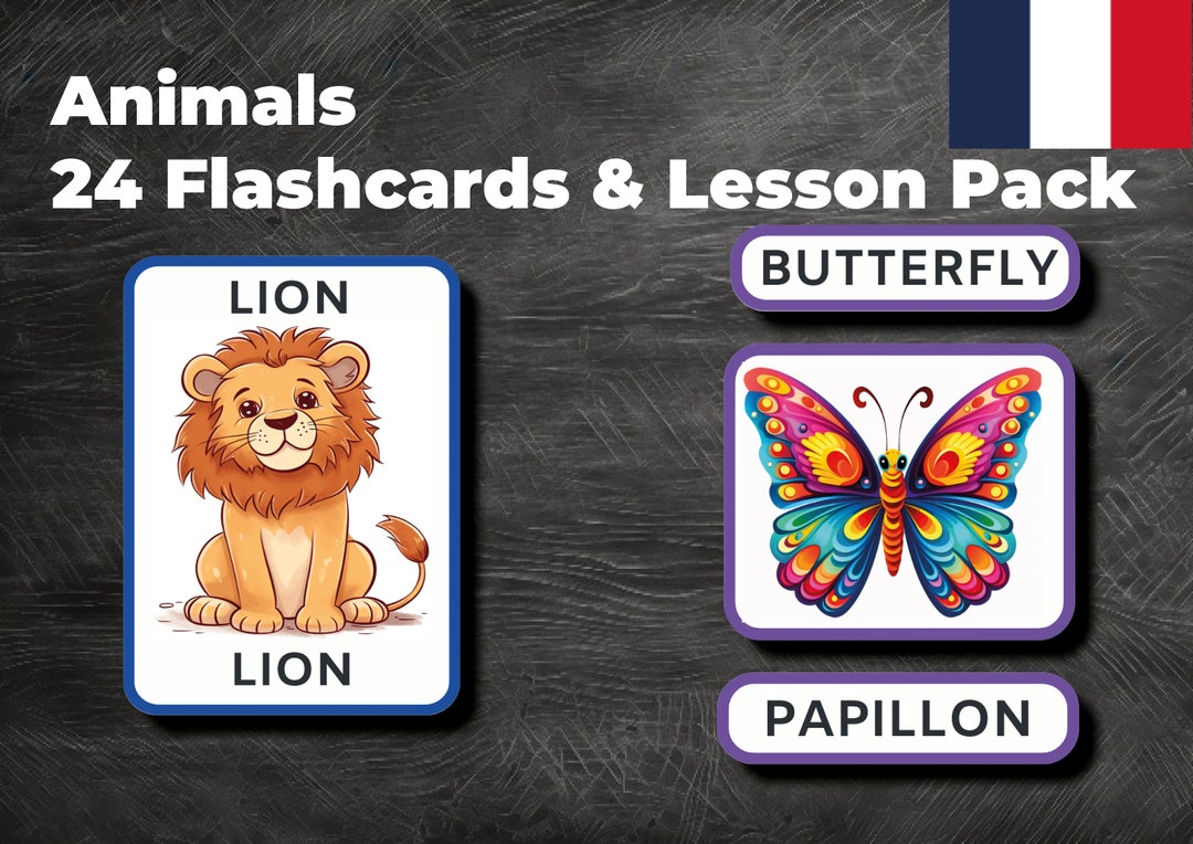 French 24 Animal Vocabulary Flashcards - Complete Lesson & Learning ...