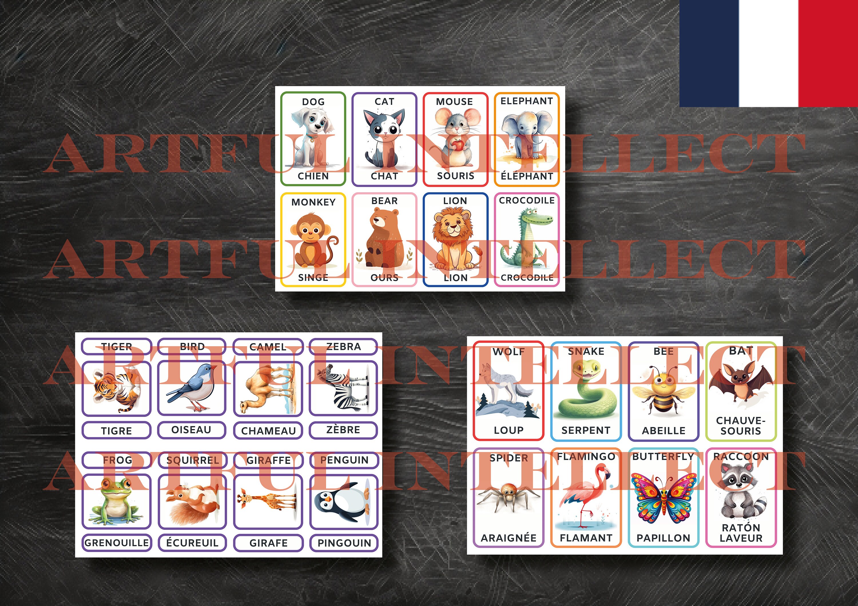 French 24 Animal Vocabulary Flashcards - Complete Lesson & Learning ...