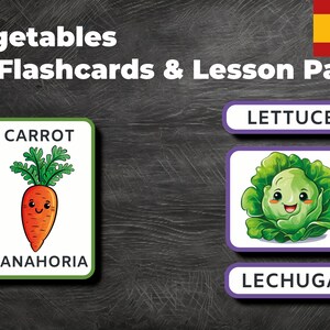 Spanish 24 Vegetable Vocabulary Flashcards - Complete Lesson & Learning ...