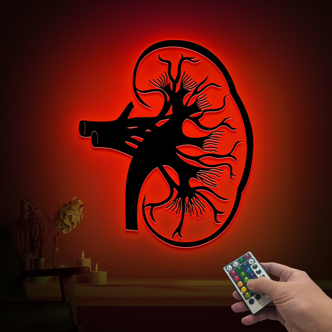 Kidney Metal Sign Wall Art With Led Lights, Anatomical Kidney, Metal ...