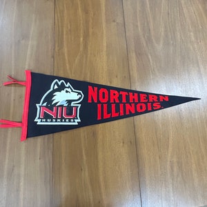 Vintage College Pennants - Your Choice! - University Kentucky, Florida ...