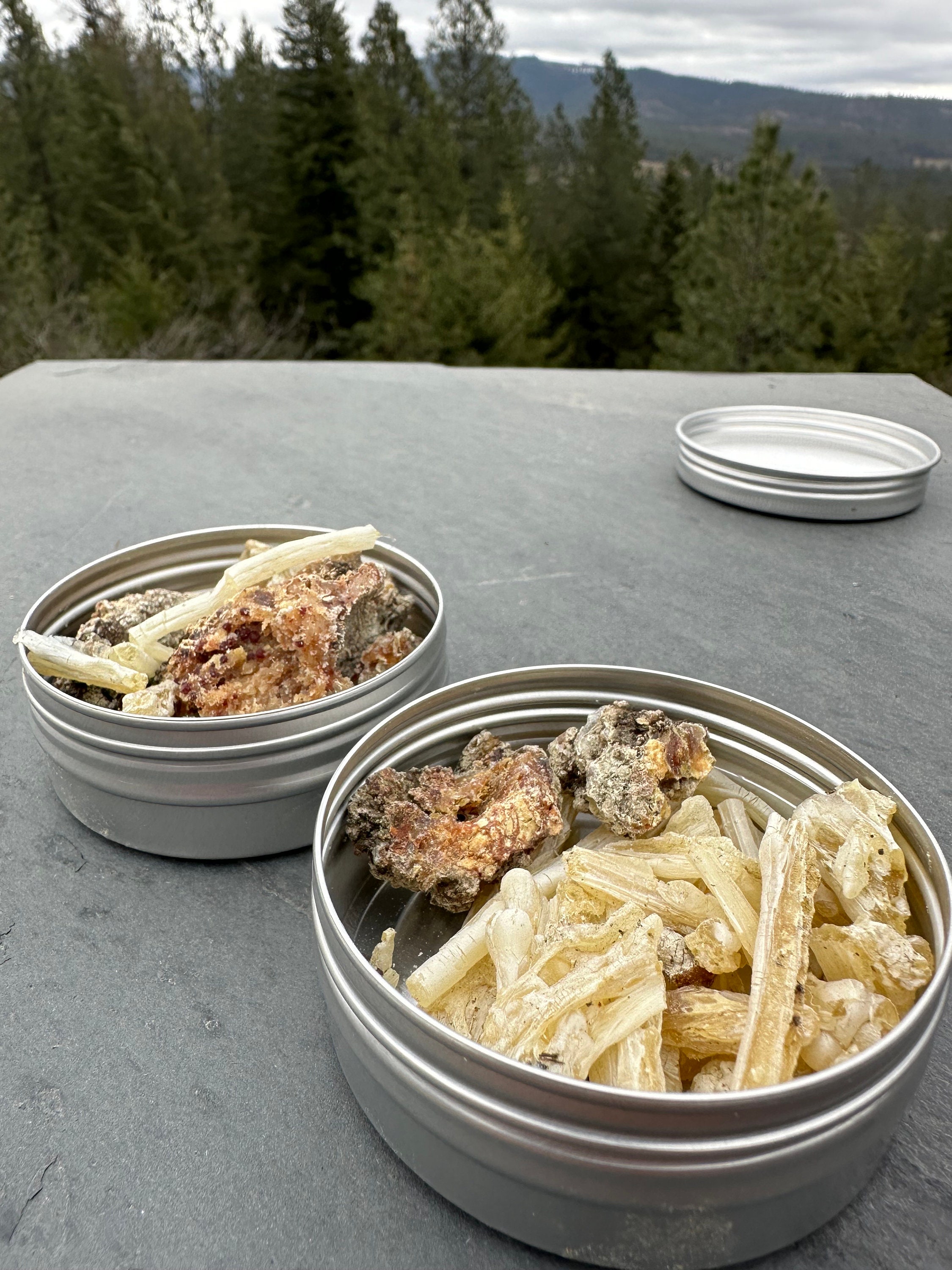 Douglas Fir Resin Douglas Fir Incense Douglas Fir Aromatherapy Smudging ...