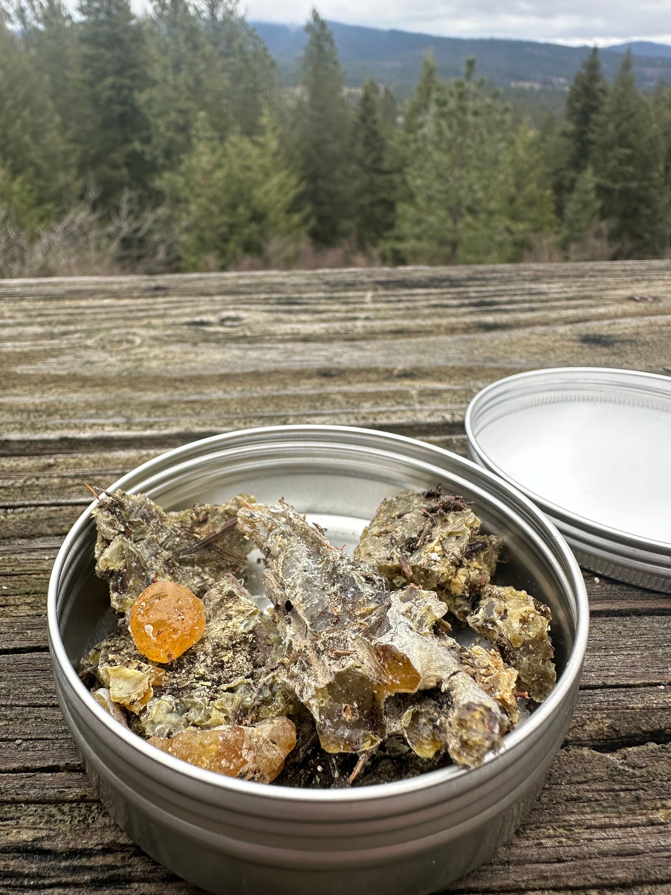 Douglas Fir Resin Douglas Fir Incense Douglas Fir Aromatherapy Smudging ...